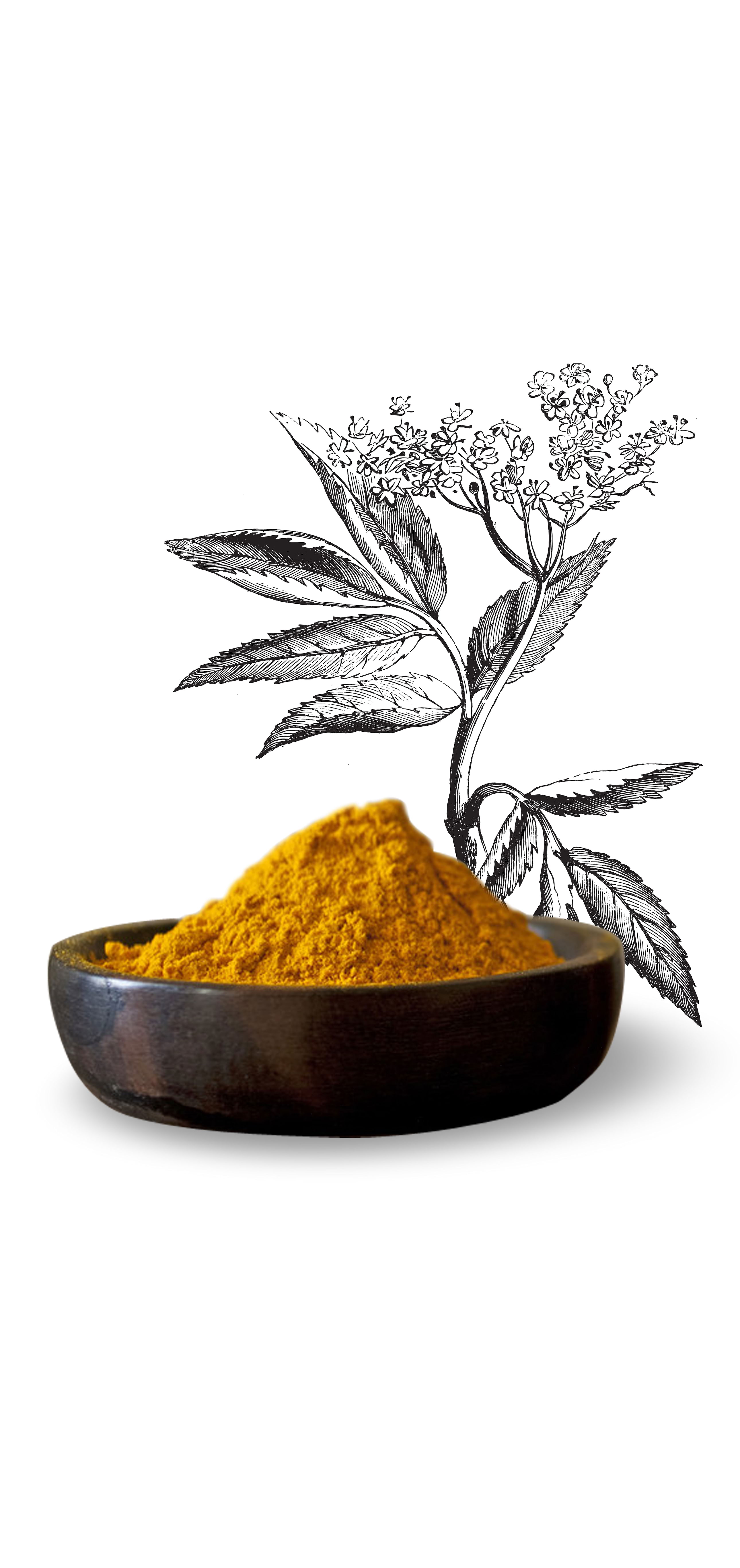 Luxury Spa, Cape Town | Librisa Spa at Belmond Mount Nelson Hotel